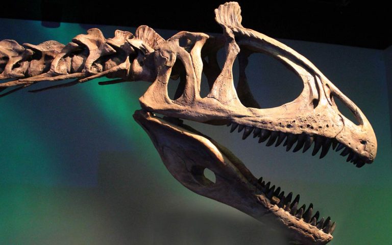 Cryolophosaurus ellioti | Dinosaur Database by DinoAnimals.com