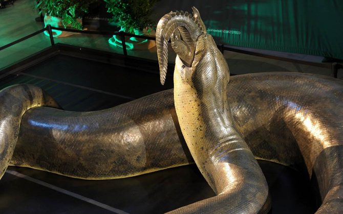 Titanoboa – the largest snake | DinoAnimals.com