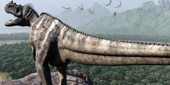Ceratosaurus – horned lizard | DinoAnimals.com