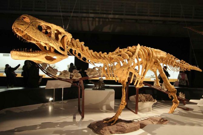DinoAnimals.com - Animals & Dinosaurs