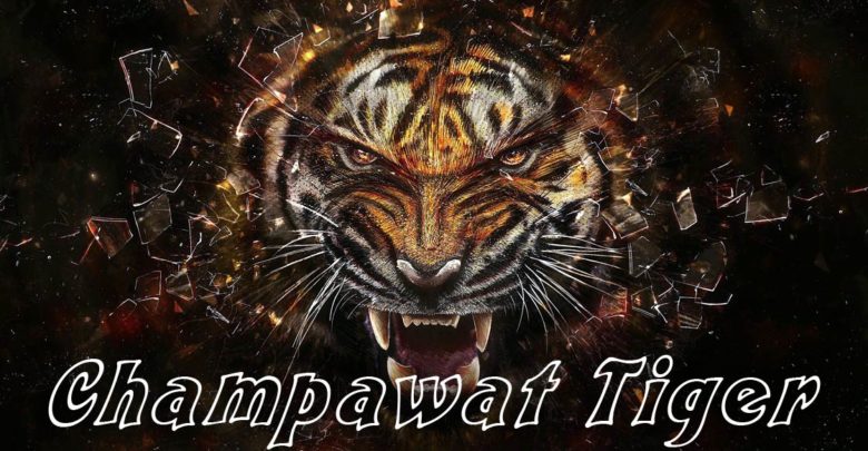 Wild cats | DinoAnimals.com - Part 3