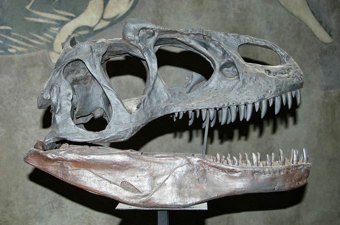 Huge dinosaurs you've never heard of | DinoAnimals.com