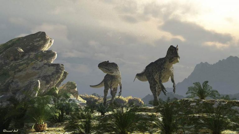 Carnosaurs – the largest predators among dinosaurs | DinoAnimals.com