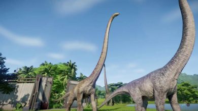 Dinosaurs with the longest necks – Mamenchisaurus | DinoAnimals.com