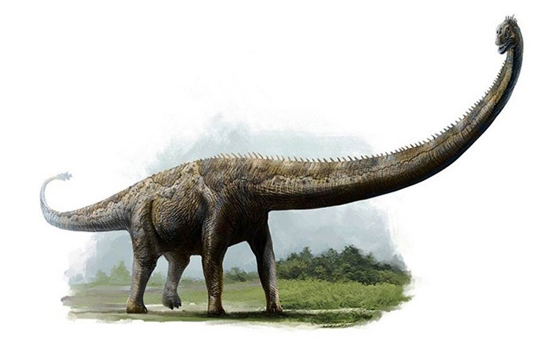 Dinosaurs With The Longest Necks Mamenchisaurus DinoAnimals Dinosaurs With The Longest Necks Mamenchisaurus DinoAnimals