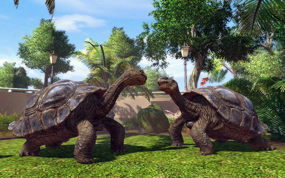 Which animals would be best at human games? | DinoAnimals.com