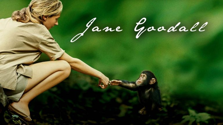 Jane Goodall and her story | DinoAnimals.com