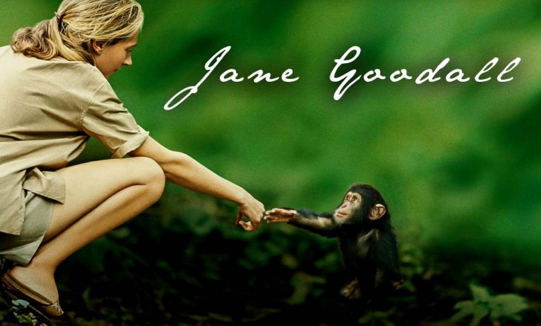 Monkeys | DinoAnimals.com