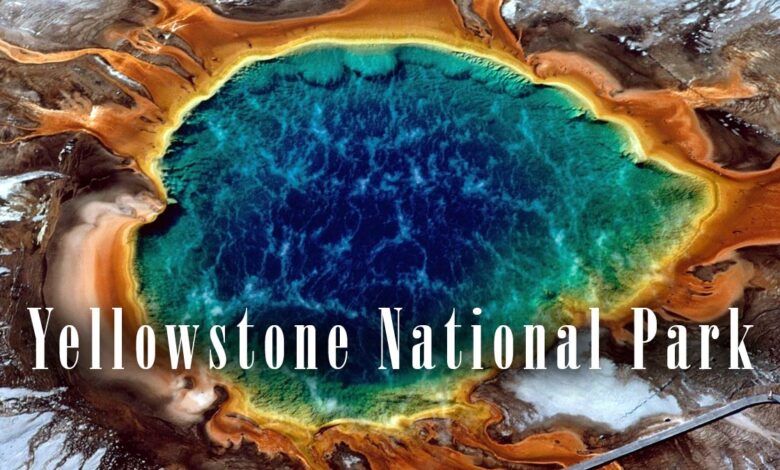 Geography | DinoAnimals.com - Part 6