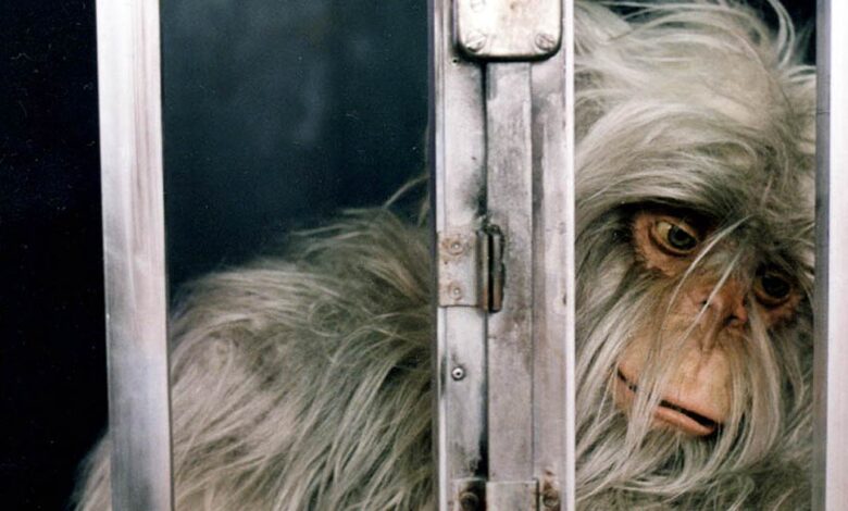 Cryptozoology | DinoAnimals.com - Part 3