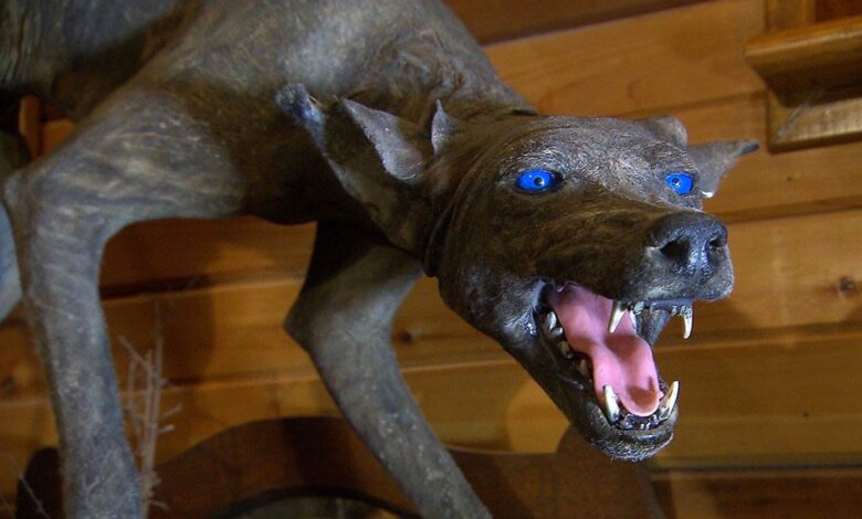 Chupacabra – a mysterious animal | DinoAnimals.com