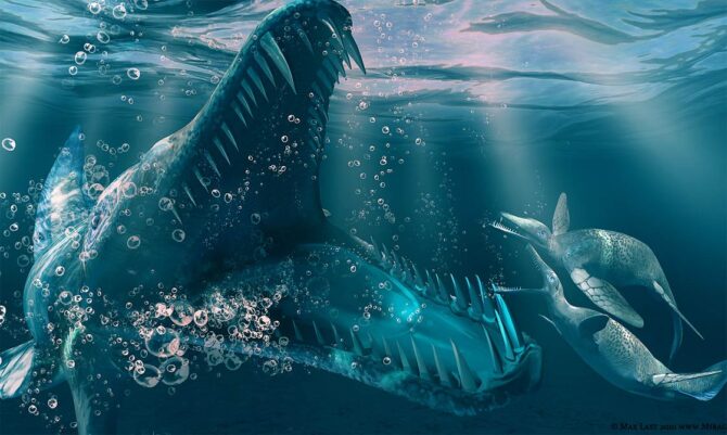 Kronosaurus – one of the largest pliosaurs | DinoAnimals.com