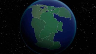 Pangaea (Pangea) – supercontinent | DinoAnimals.com