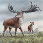 Irish elk (Megaloceros giganteus) | DinoAnimals.com
