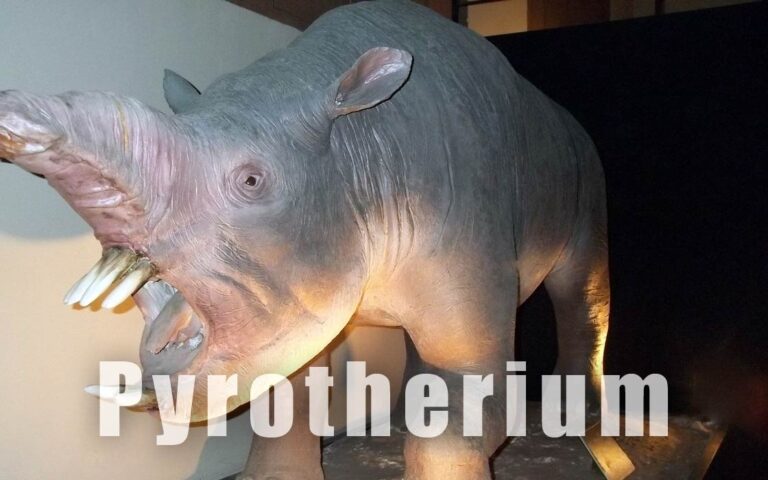 Pyrotherium – "fire beast" | DinoAnimals.com