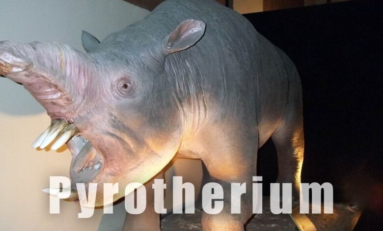 Extinct | DinoAnimals.com - Part 2