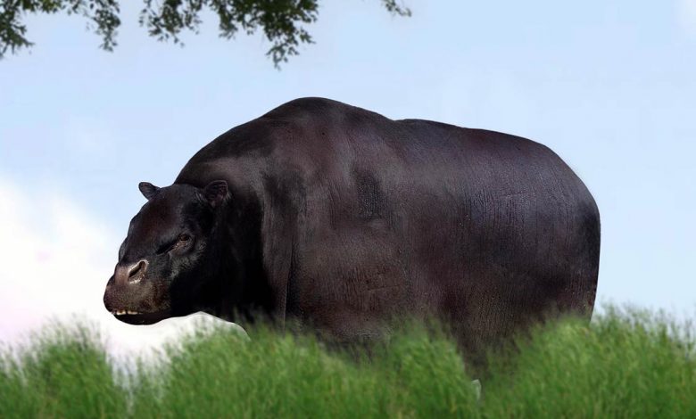 Extinct | DinoAnimals.com - Part 2