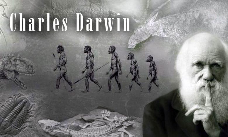 Evolution | DinoAnimals.com