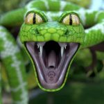Snakeskin and its applications | DinoAnimals.com