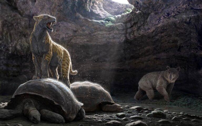 What do we know about extinct animals? | DinoAnimals.com