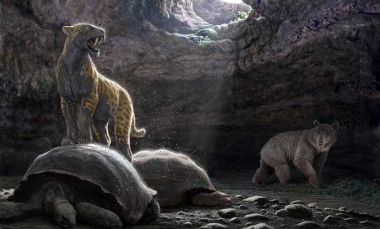 Predatory | DinoAnimals.com