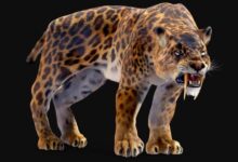 What do we know about extinct animals? | DinoAnimals.com