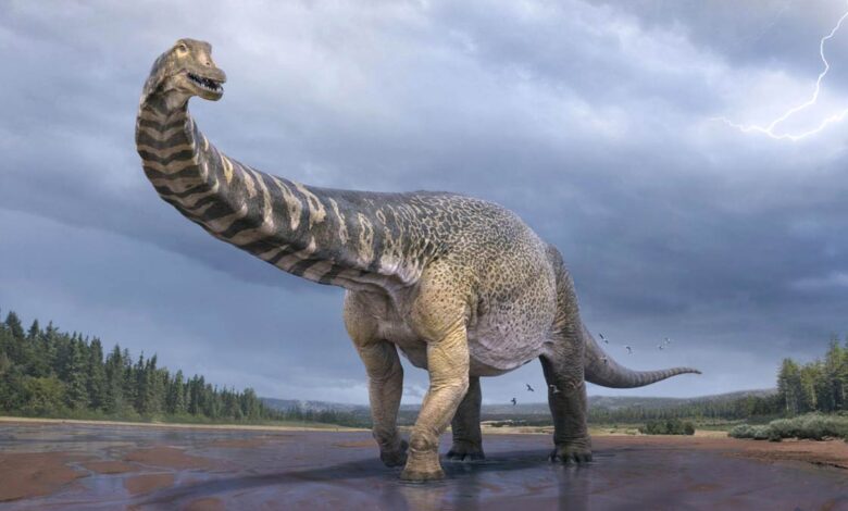 Dinosaurs | DinoAnimals.com