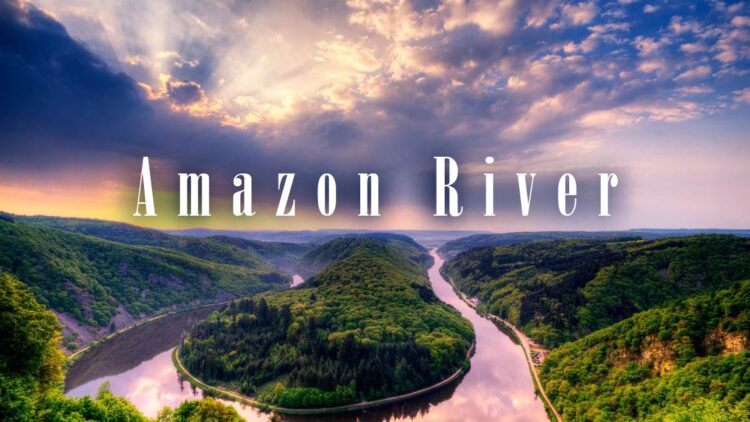 Amazon River – the largest river in the world | DinoAnimals.com