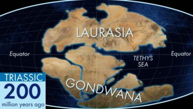 Gondwana – the southern Supercontinent | DinoAnimals.com