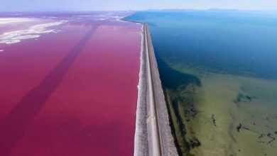 The Great Salt Lake – A Natural Wonder | DinoAnimals.com