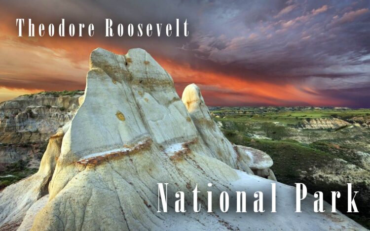 Theodore Roosevelt National Park | DinoAnimals.com
