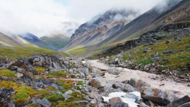 Gates of the Arctic National Park | DinoAnimals.com
