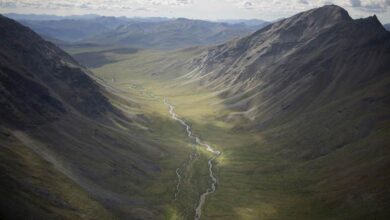 Gates of the Arctic National Park | DinoAnimals.com