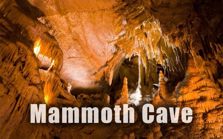 Mammoth Cave National Park | DinoAnimals.com
