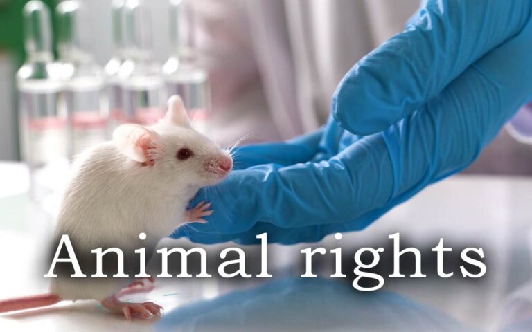 Animal Rights and Ethics | DinoAnimals.com