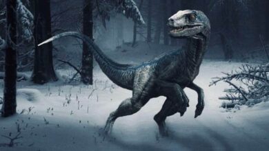 Is Jurassic World Accurate? | DinoAnimals.com