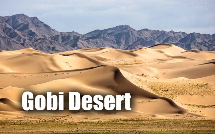 Gobi Desert | DinoAnimals.com