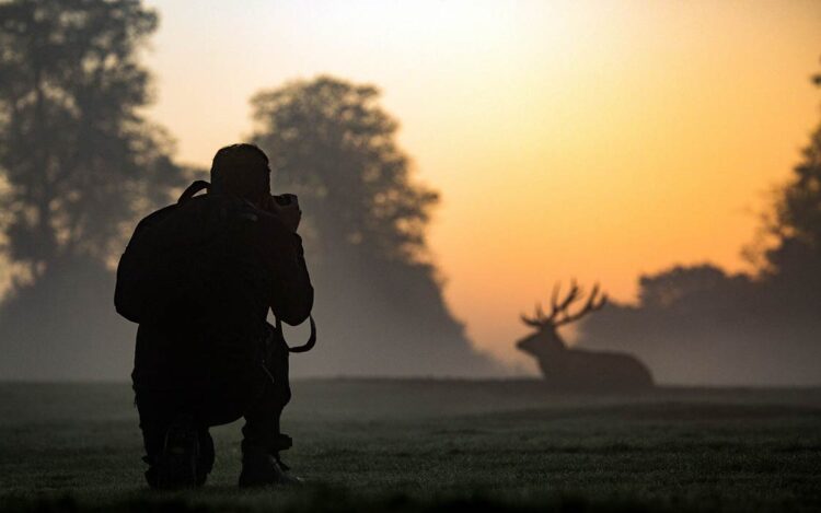 Careers in Wildlife Photography and Journalism | DinoAnimals.com