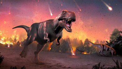 Mesozoic Era – Cretaceous | DinoAnimals.com