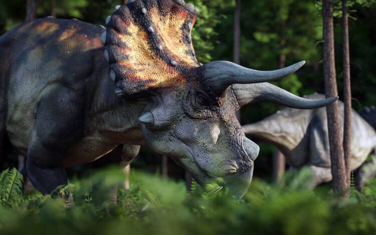 How Dinosaurs Adapted to Their Environments | DinoAnimals.com